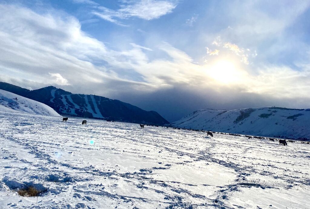 High Plains Climate Mainstreet – Climate information for the High ...